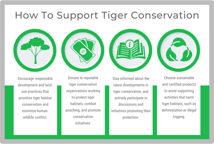International Tiger Day - Facts, Events, and Expert Insights | Wire Fence