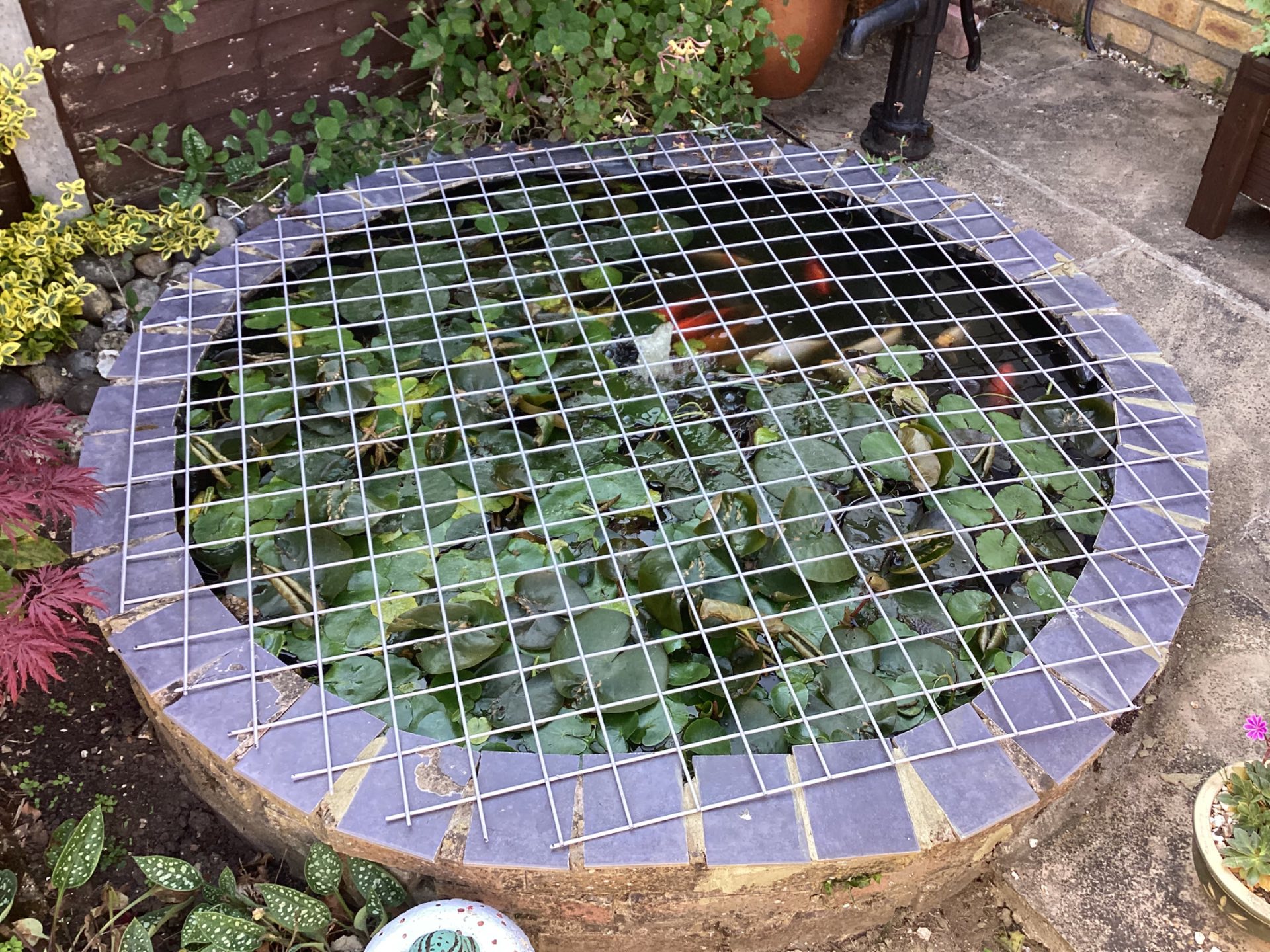 Customer Reviews | Wire Fence