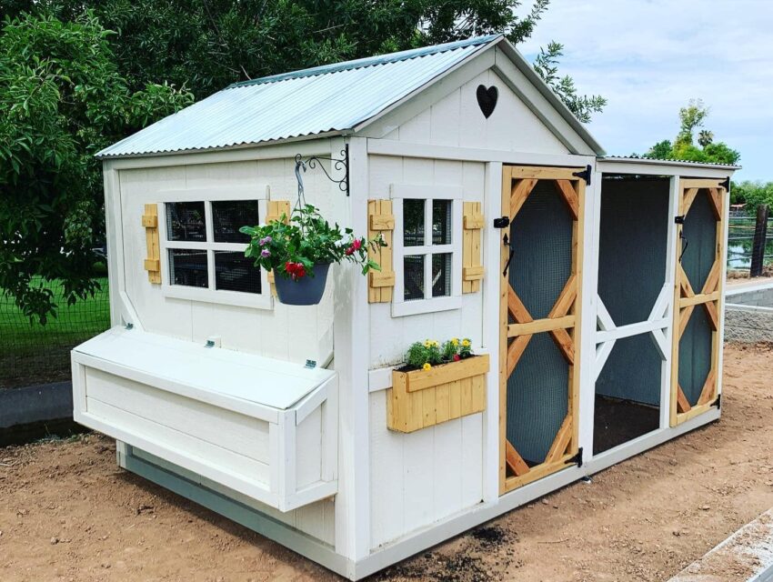 Chicken Coop Ideas (110 IDEAS) | WIREFENCE