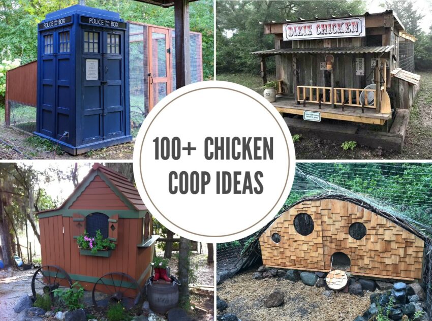 Chicken Coop Ideas (110 IDEAS) | WIREFENCE