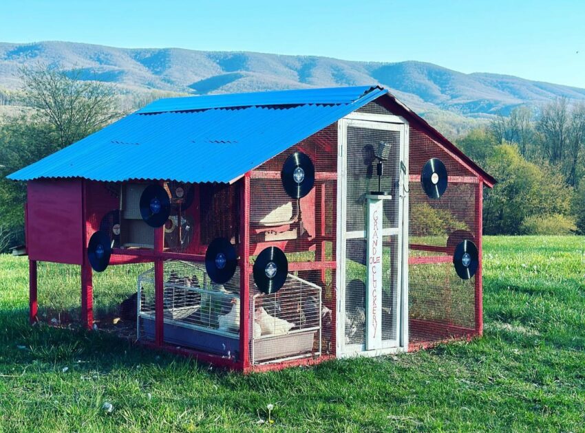 Chicken Coop Ideas (110 IDEAS) | WIREFENCE