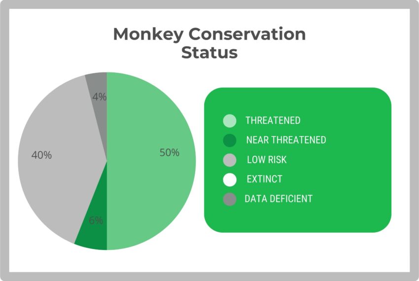 Monkey Day - Facts, Statistics, and Expert Insights | Wire Fence