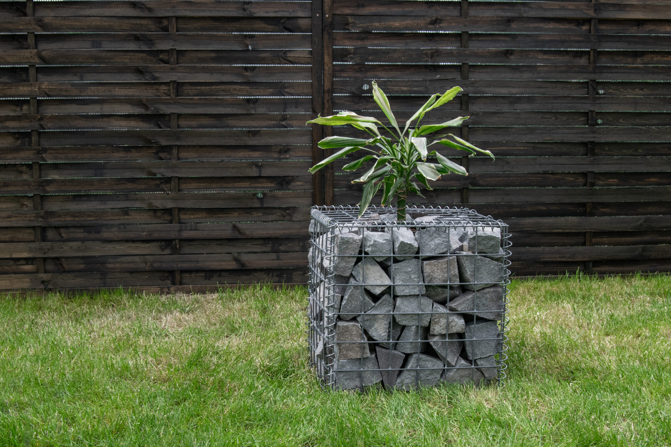 DIY Gabion Planter (With Video)