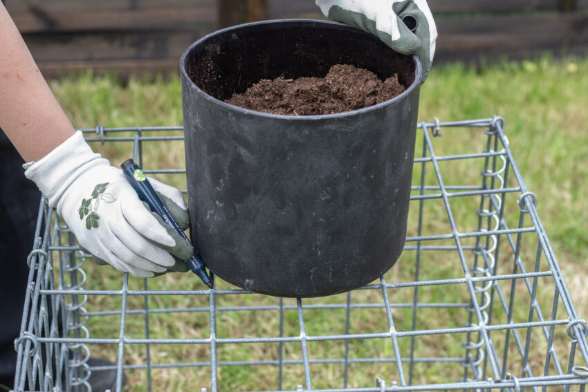 DIY Gabion Planter (With Video)