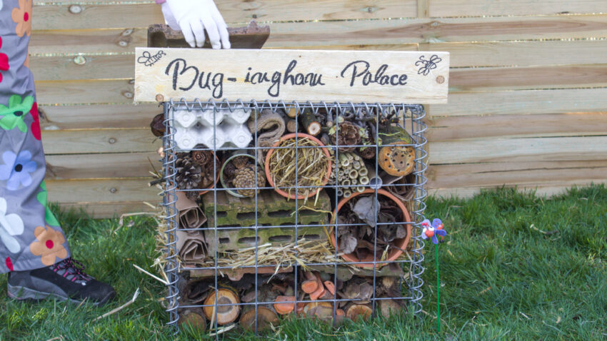 How to Make a Bug Hotel (With Video) | Wire Fence