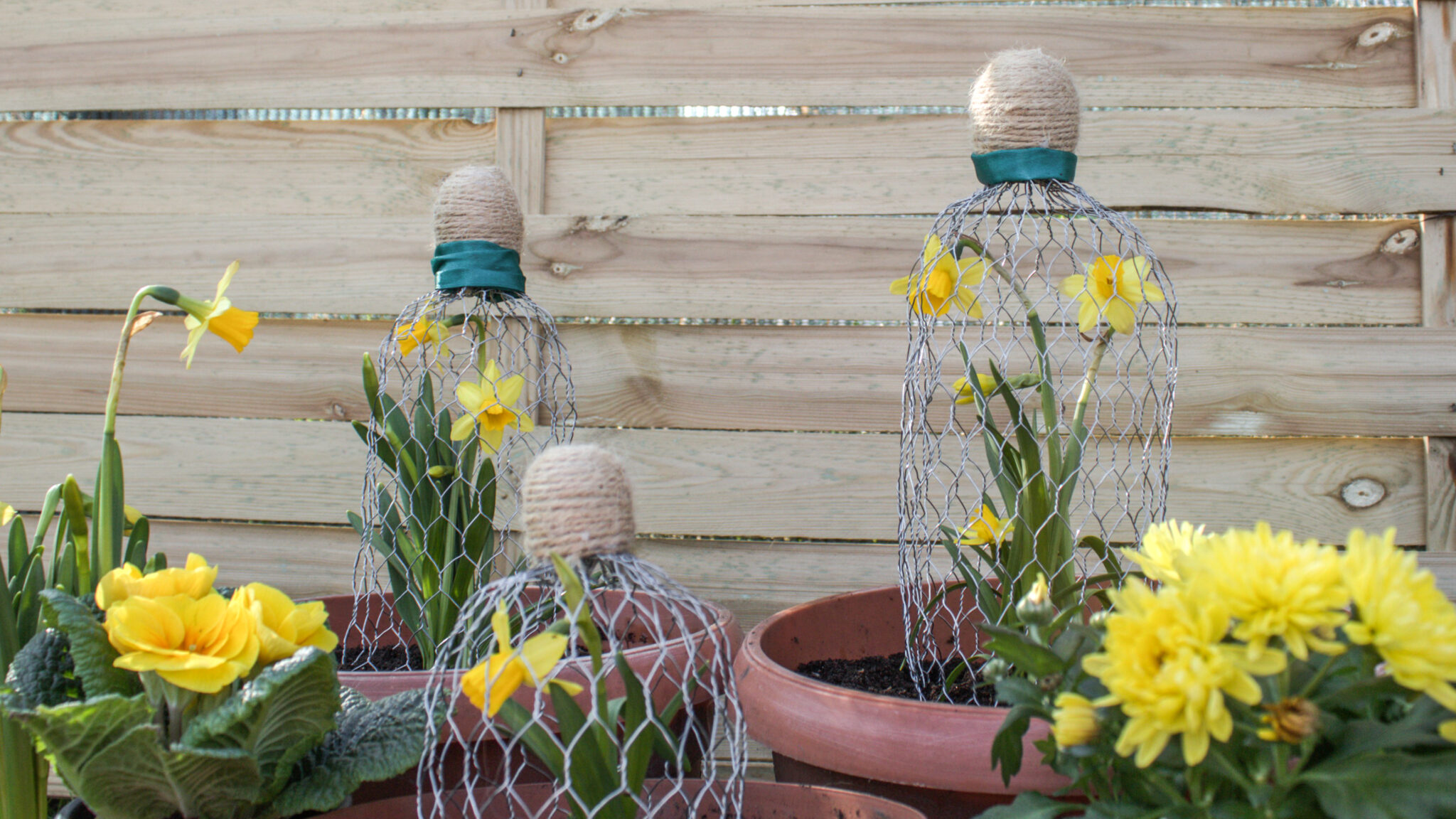 Chicken Wire Cloche DIY (WITH VIDEO) | Wire Fence