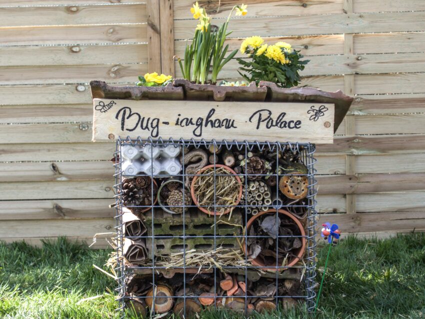 How to Make a Bug Hotel (With Video) | Wire Fence