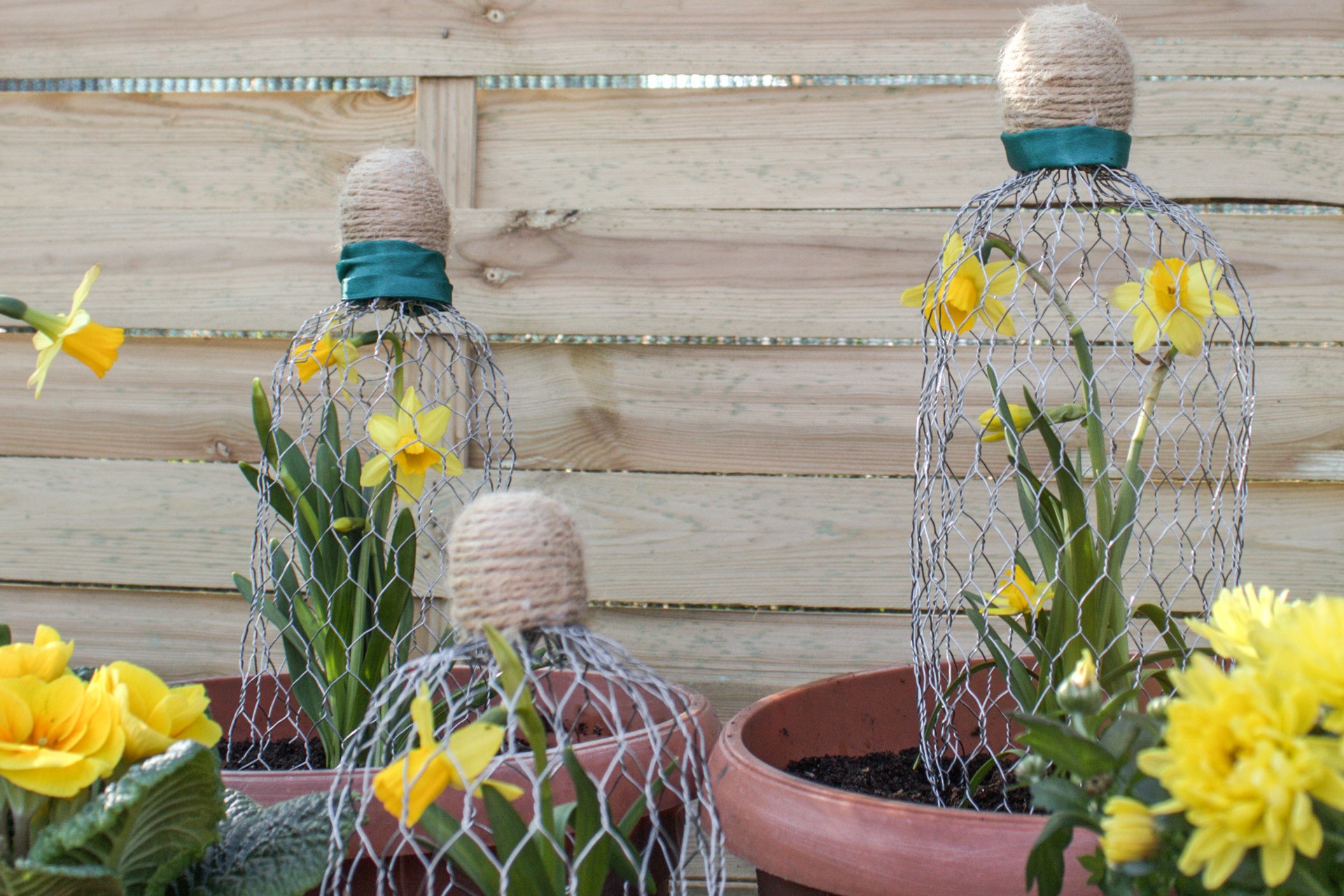 Chicken Wire Cloche DIY (WITH VIDEO) | Wire Fence