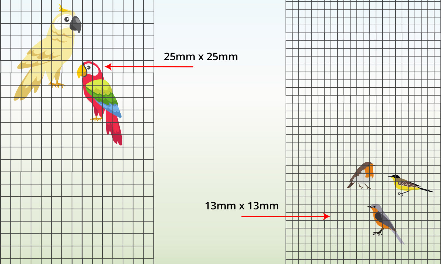 Aviary Mesh (Large Stock) NEXT DAY DELIVERY | Wire Fence