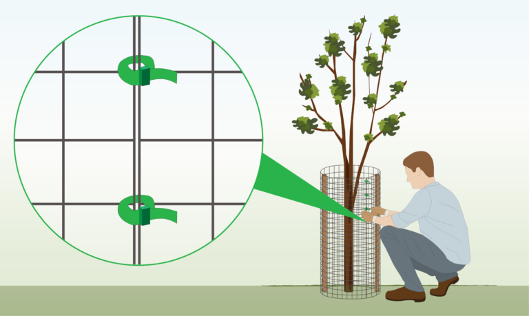 Metal Tree Guard Suppliers (NEXT DAY DELIVERY) | Wire Fence