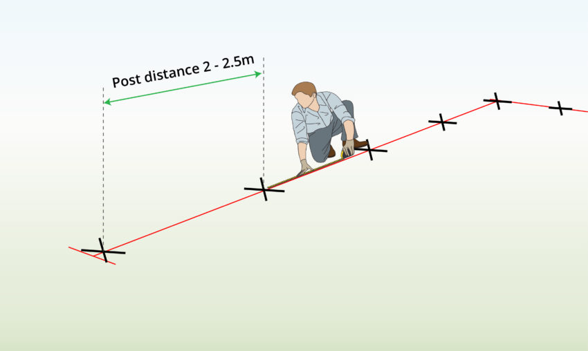 How to Build a Chicken Wire Garden Fence (Step by Step)