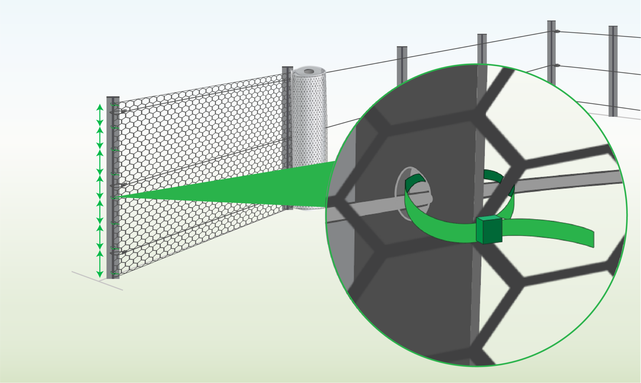 How to Build a Chicken Wire Garden Fence (Step by Step)