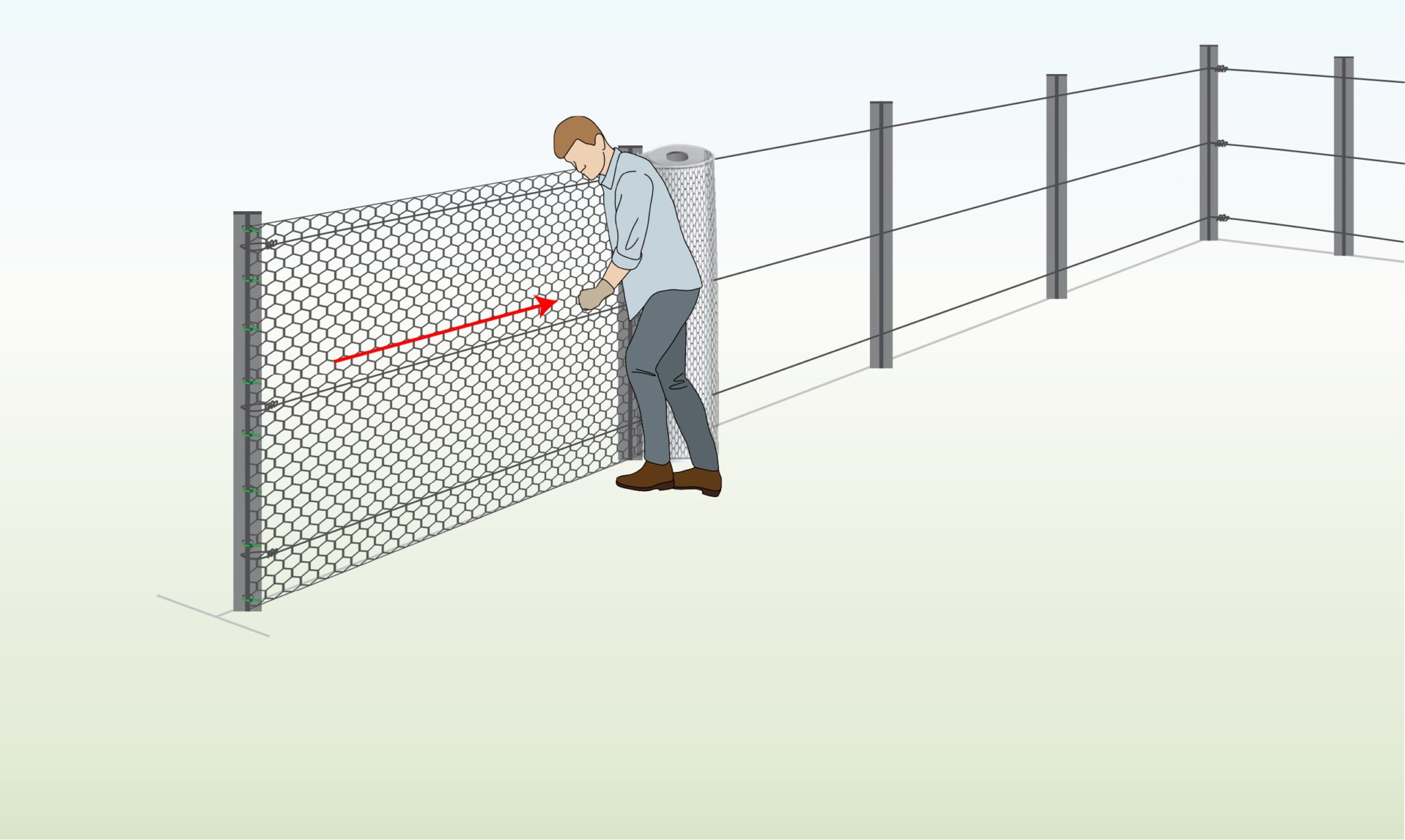 How to Build a Chicken Wire Garden Fence (Step by Step)