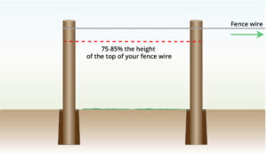 How to Brace a Fence Post (WITH IMAGES) | Wire Fence