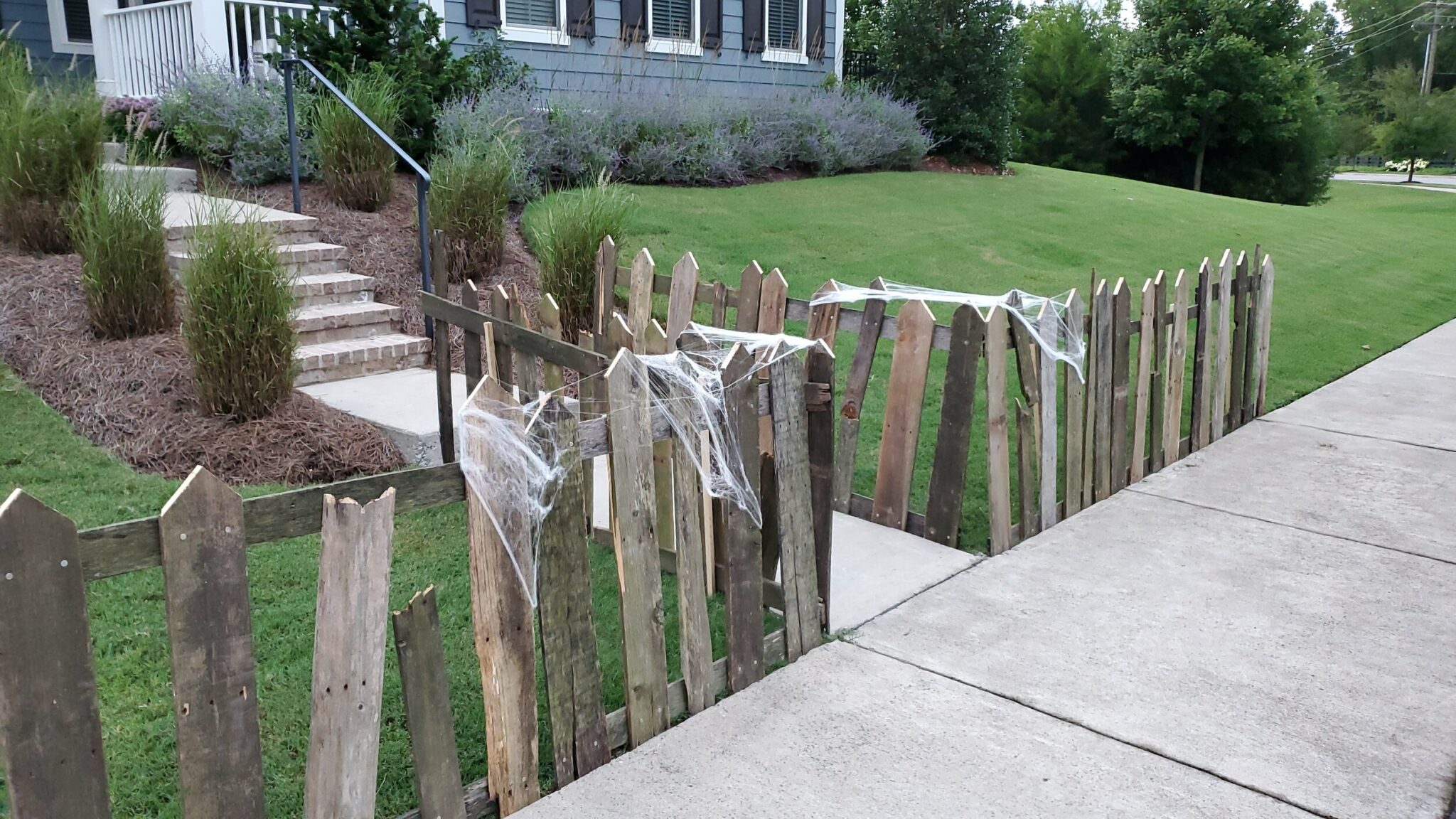 50+ Halloween Fence Ideas (WITH IMAGES) | Wire Fence