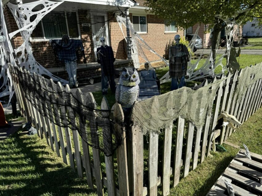 50+ Halloween Fence Ideas (WITH IMAGES) | Wire Fence