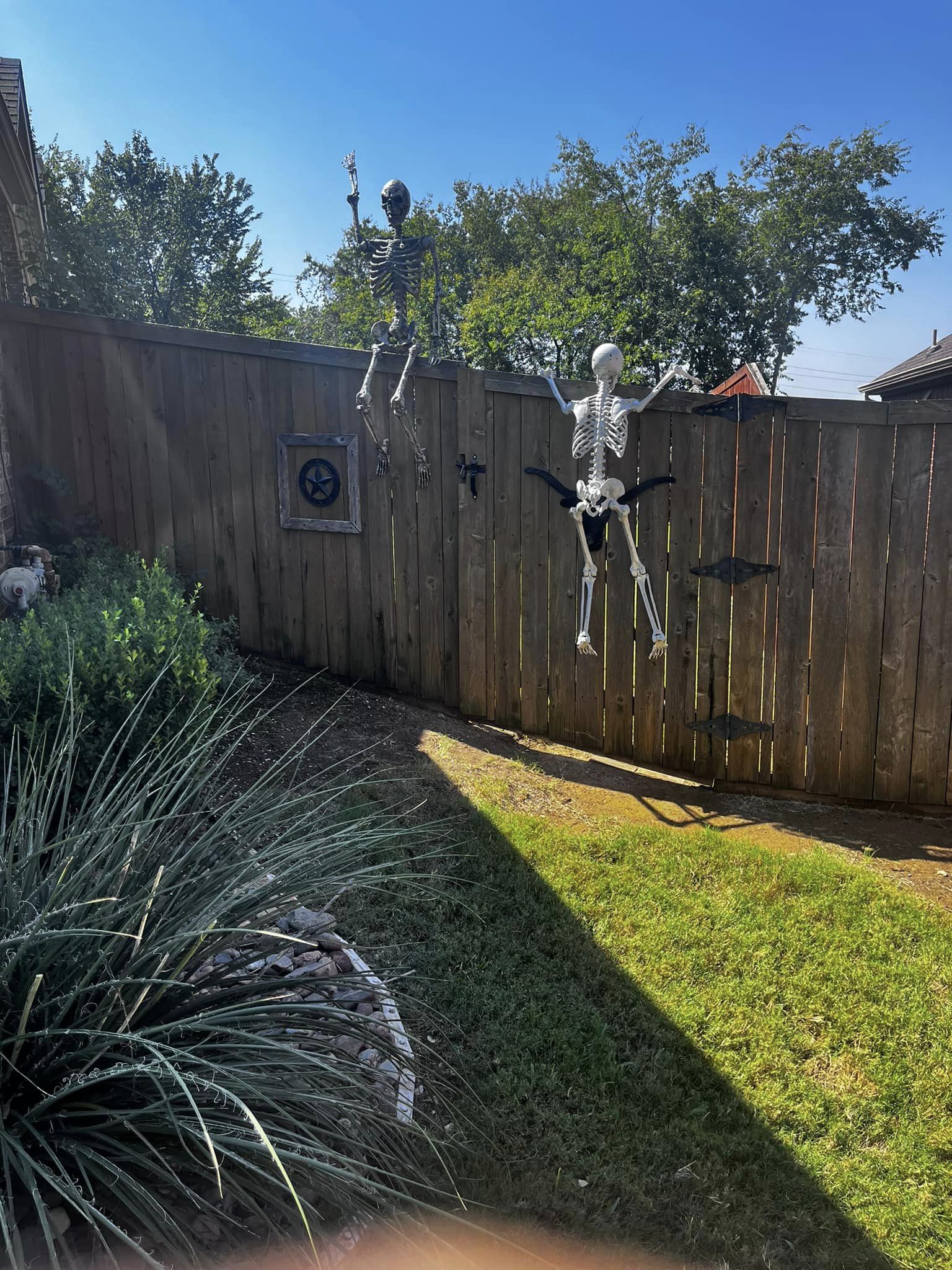 50+ Halloween Fence Ideas (WITH IMAGES) | Wire Fence