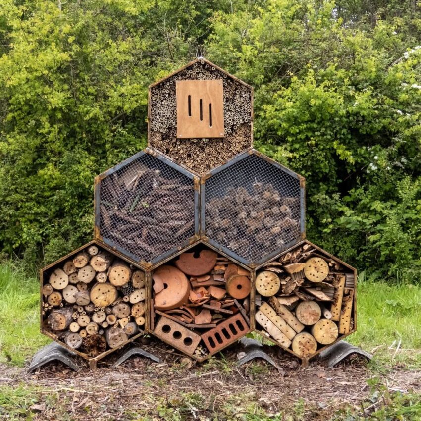 100+ Bug Hotel Ideas [From Unique Creations to DIY Projects]