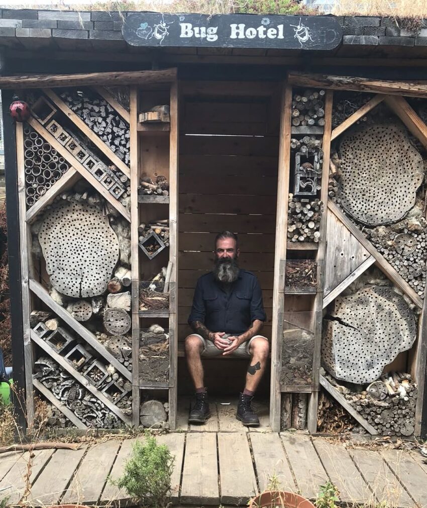 100+ Bug Hotel Ideas [From Unique Creations to DIY Projects]