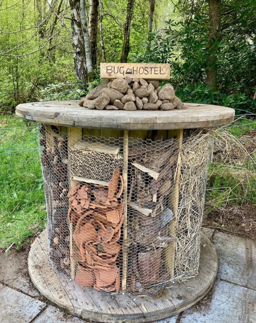 100+ Bug Hotel Ideas [From Unique Creations to DIY Projects]