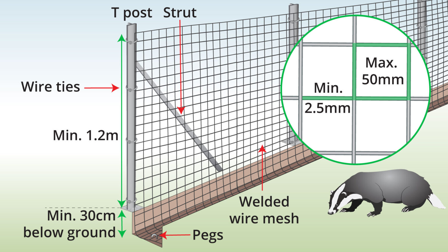 Badger Fence (Next Day Delivery) | Wire Fence