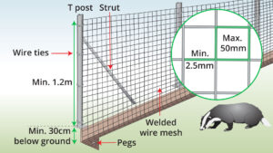 Badger Fence (Next Day Delivery) | Wire Fence
