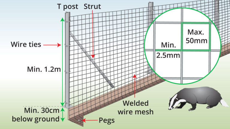Badger Fence (Next Day Delivery) | Wire Fence