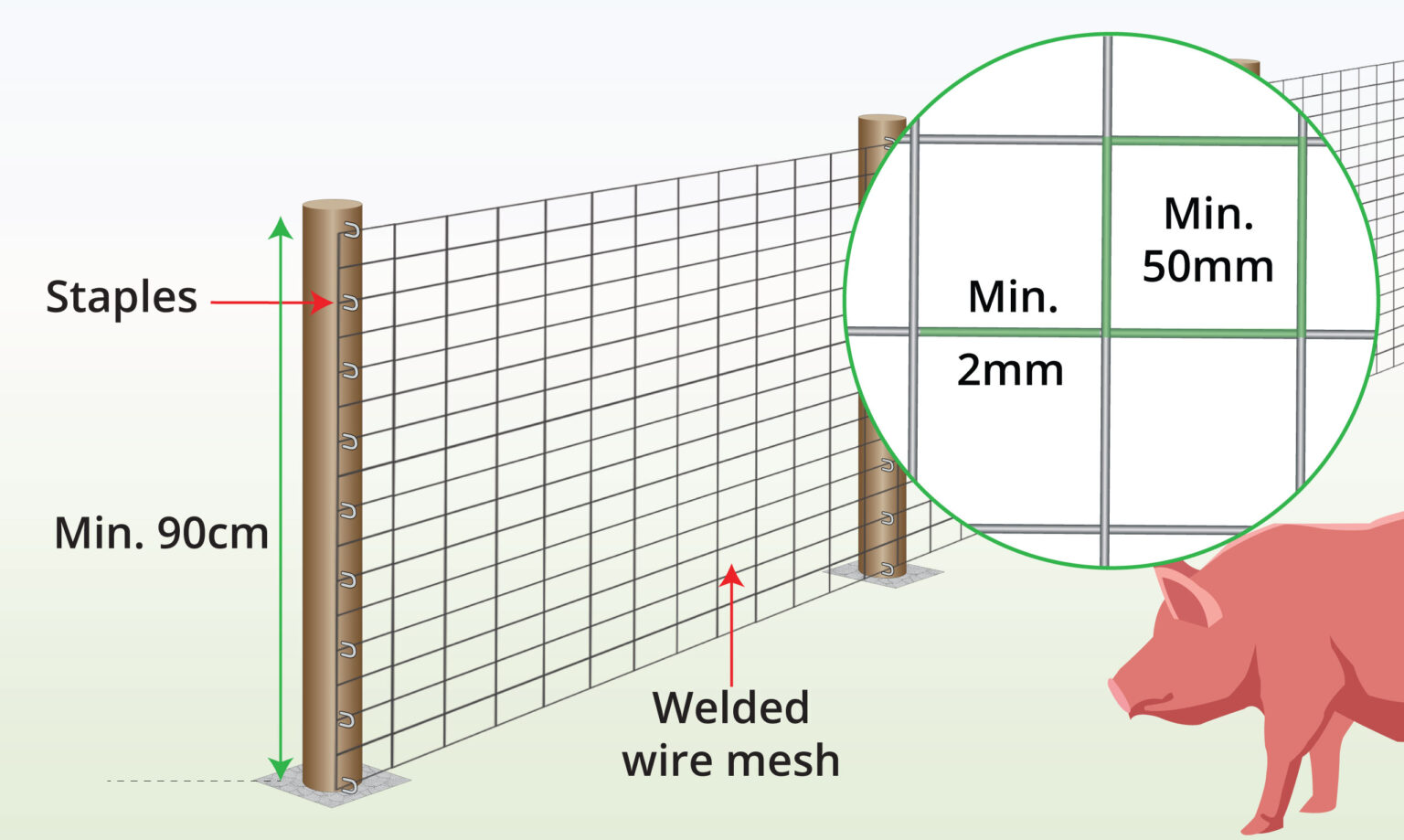 Pig Fence & Netting UK Suppliers (QUICK DELIVERY) | Wire Fence