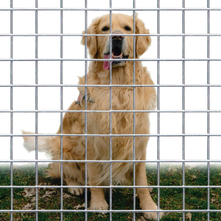 Animal Fencing & Pet Mesh Fences (QUICK DELIVERY) | Wire Fence