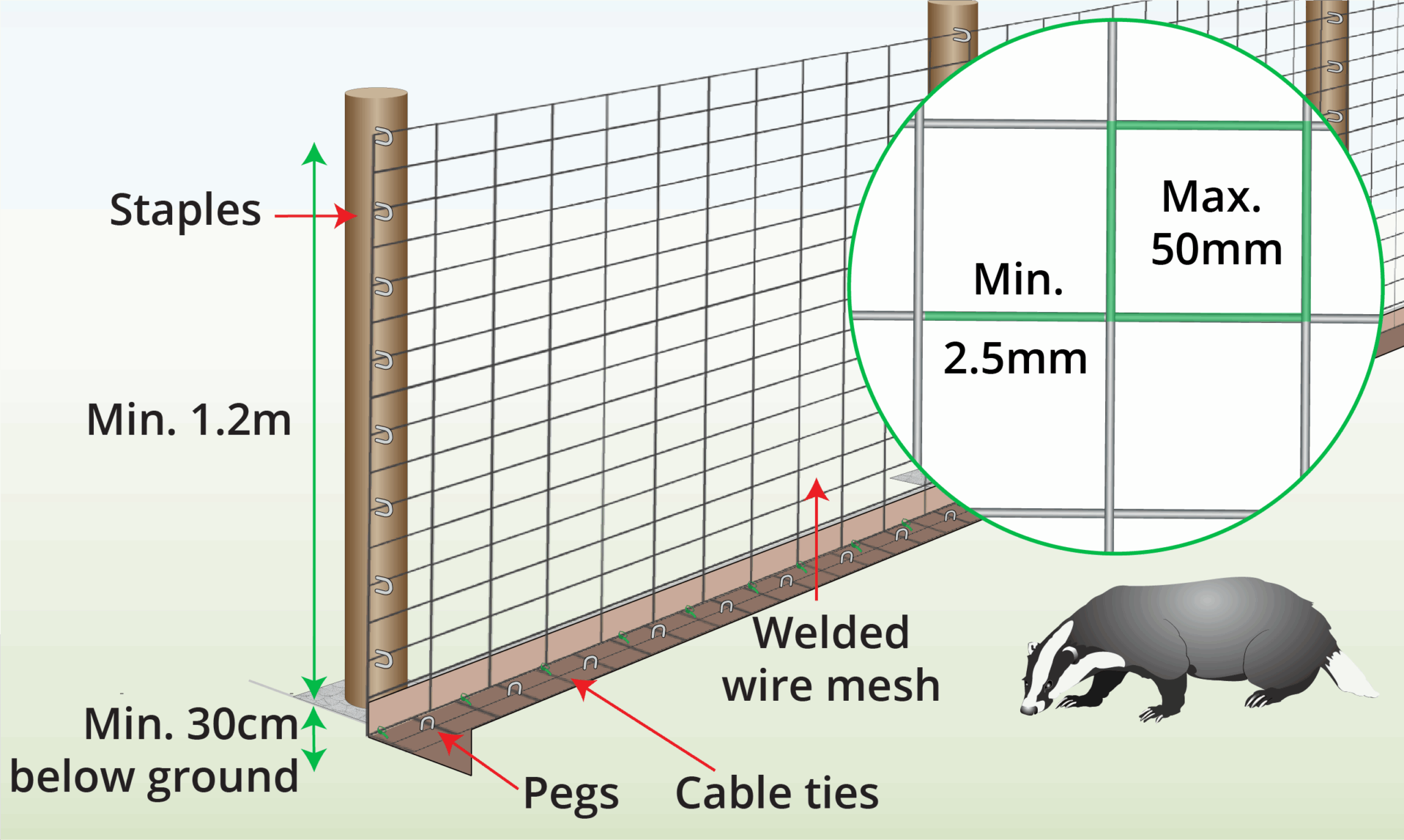 Badger Fence (Next Day Delivery) | Wire Fence