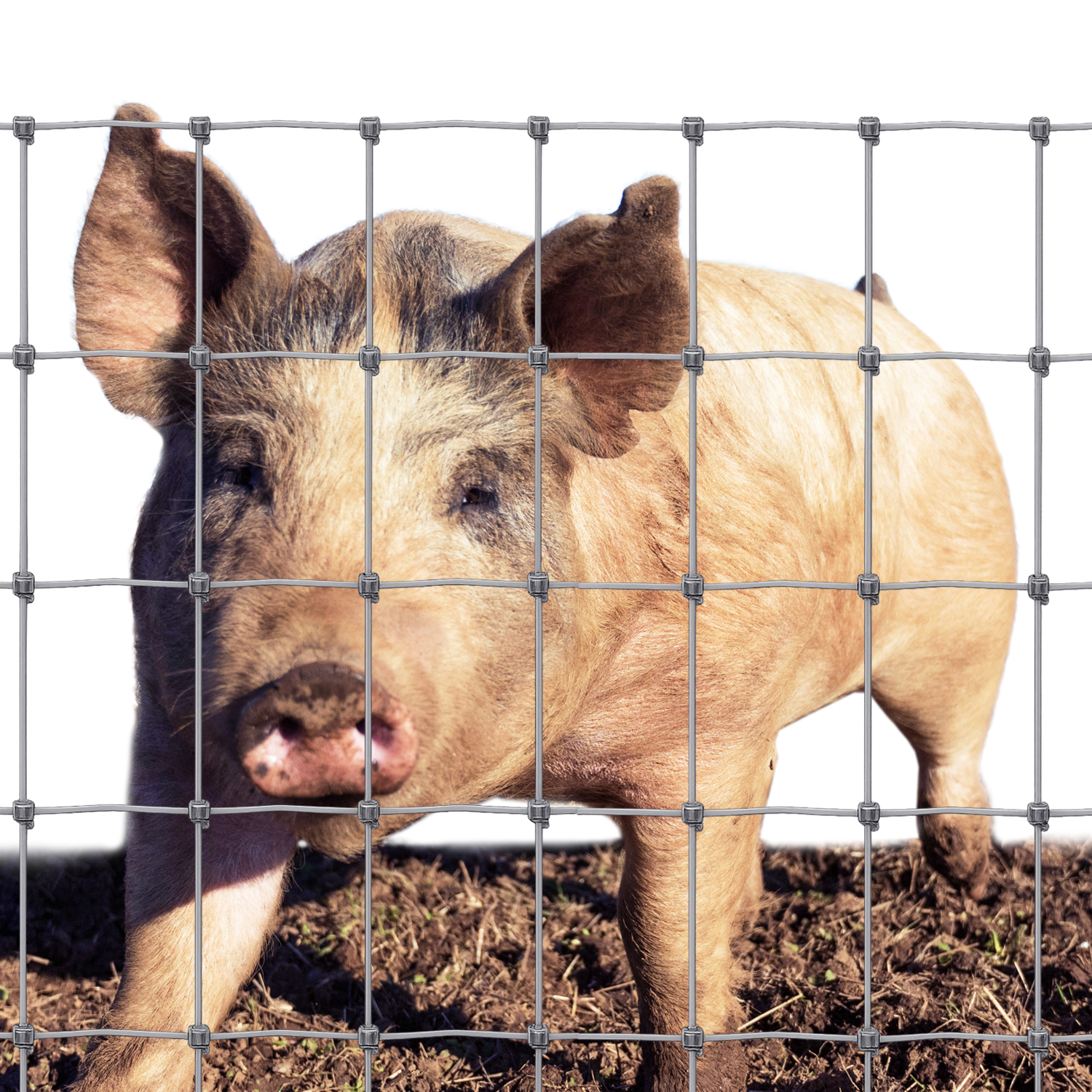 Animal Fencing & Pet Mesh Fences (QUICK DELIVERY) | Wire Fence
