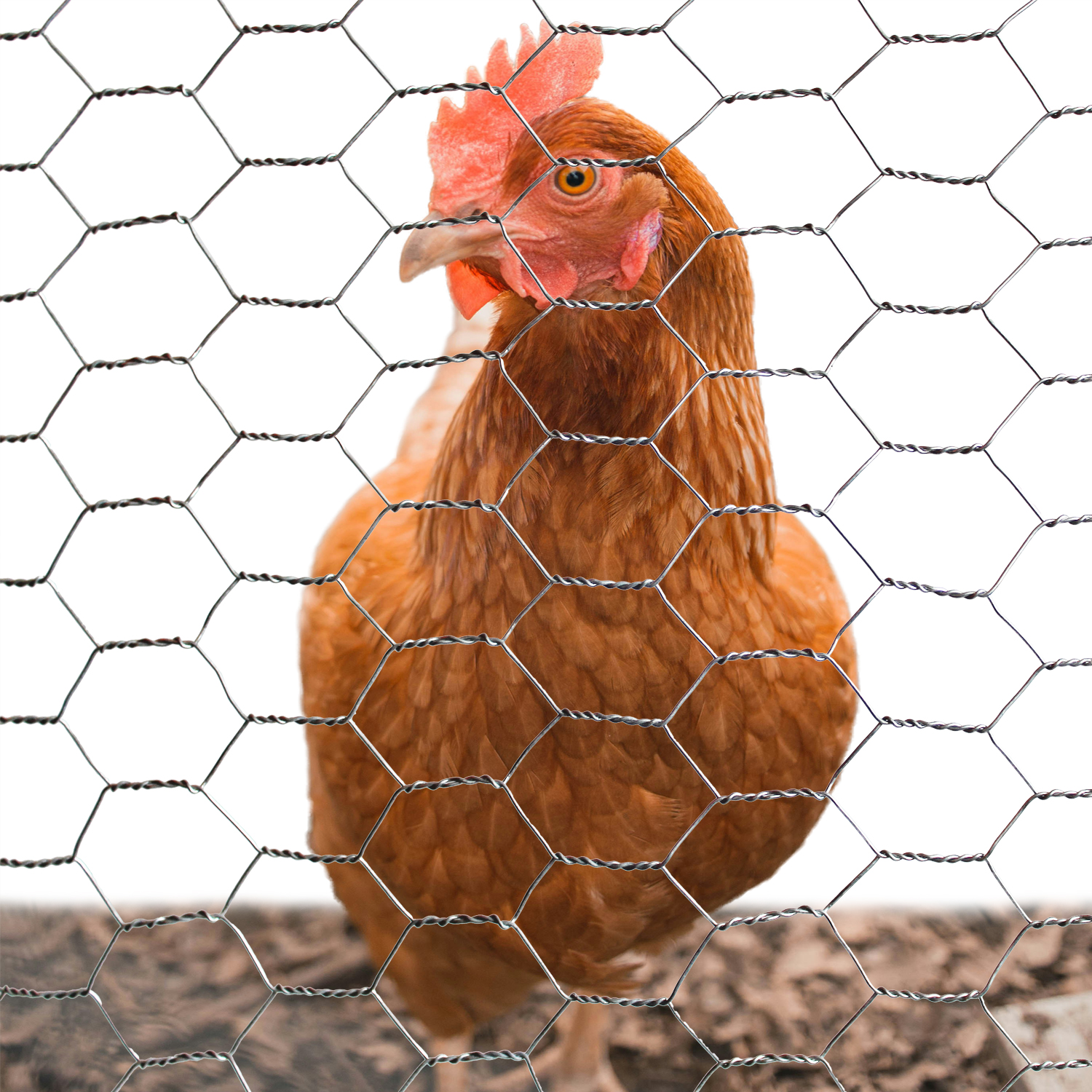 Animal Fencing & Pet Mesh Fences (QUICK DELIVERY) | Wire Fence