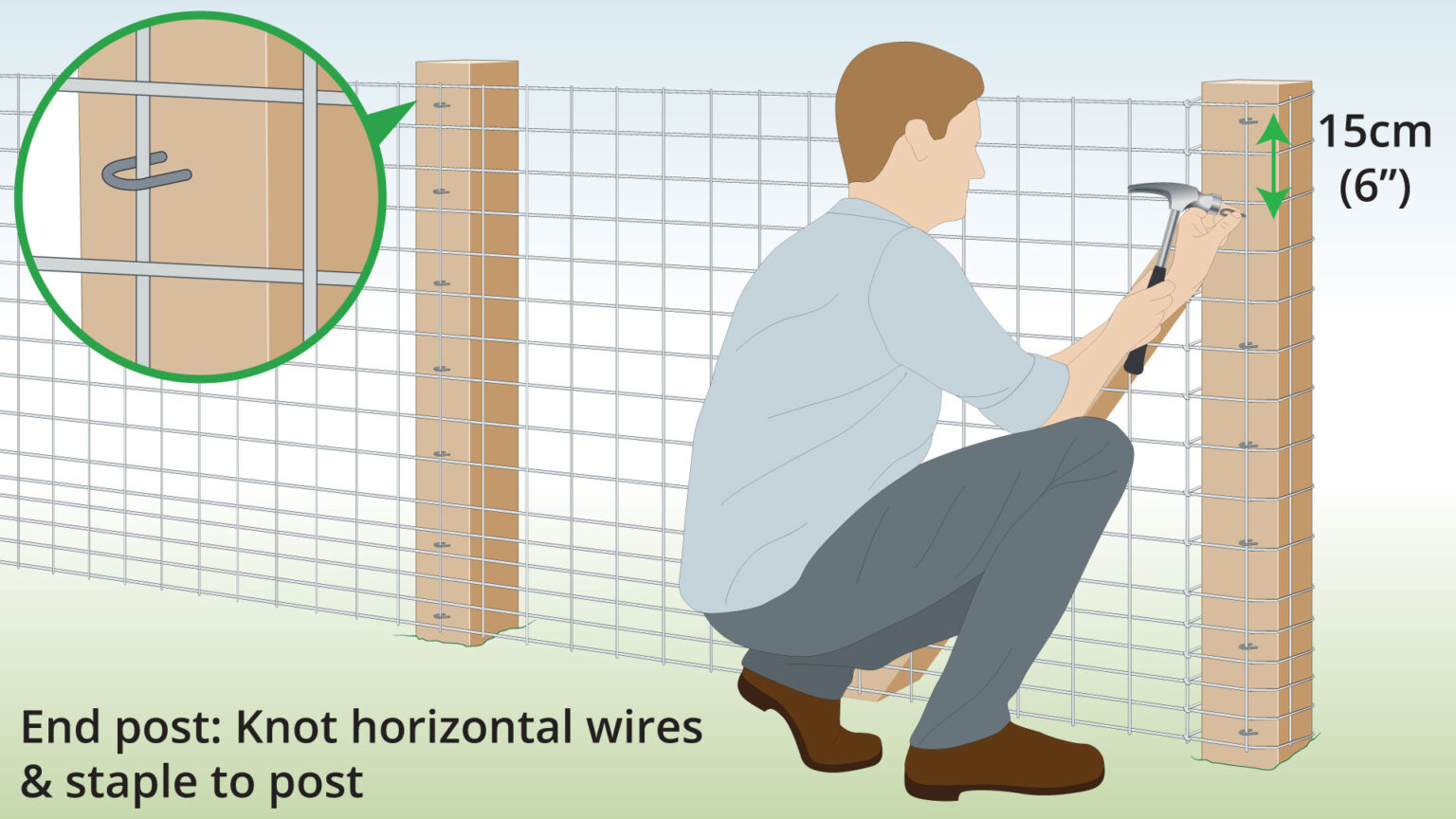 Pig Fence & Netting UK Suppliers (QUICK DELIVERY) | Wire Fence