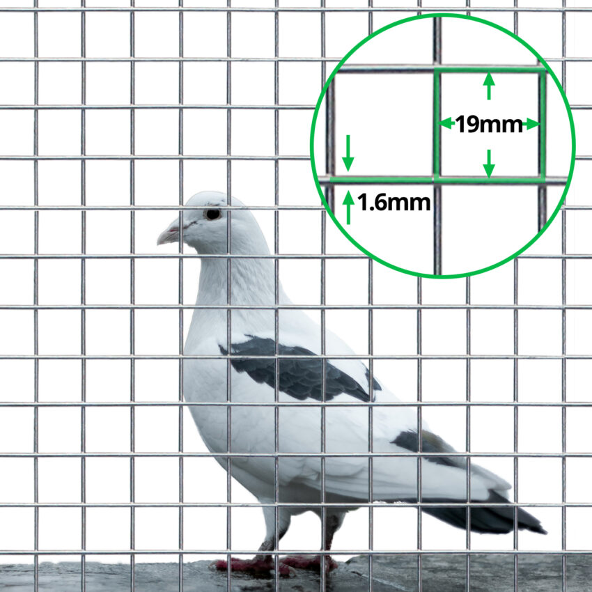 Aviary Mesh (Large Stock) NEXT DAY DELIVERY | Wire Fence