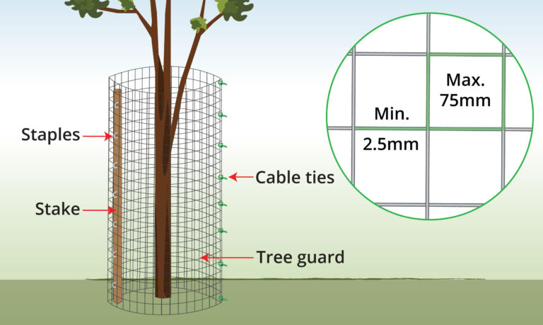 Metal Tree Guard Suppliers (NEXT DAY DELIVERY) | Wire Fence
