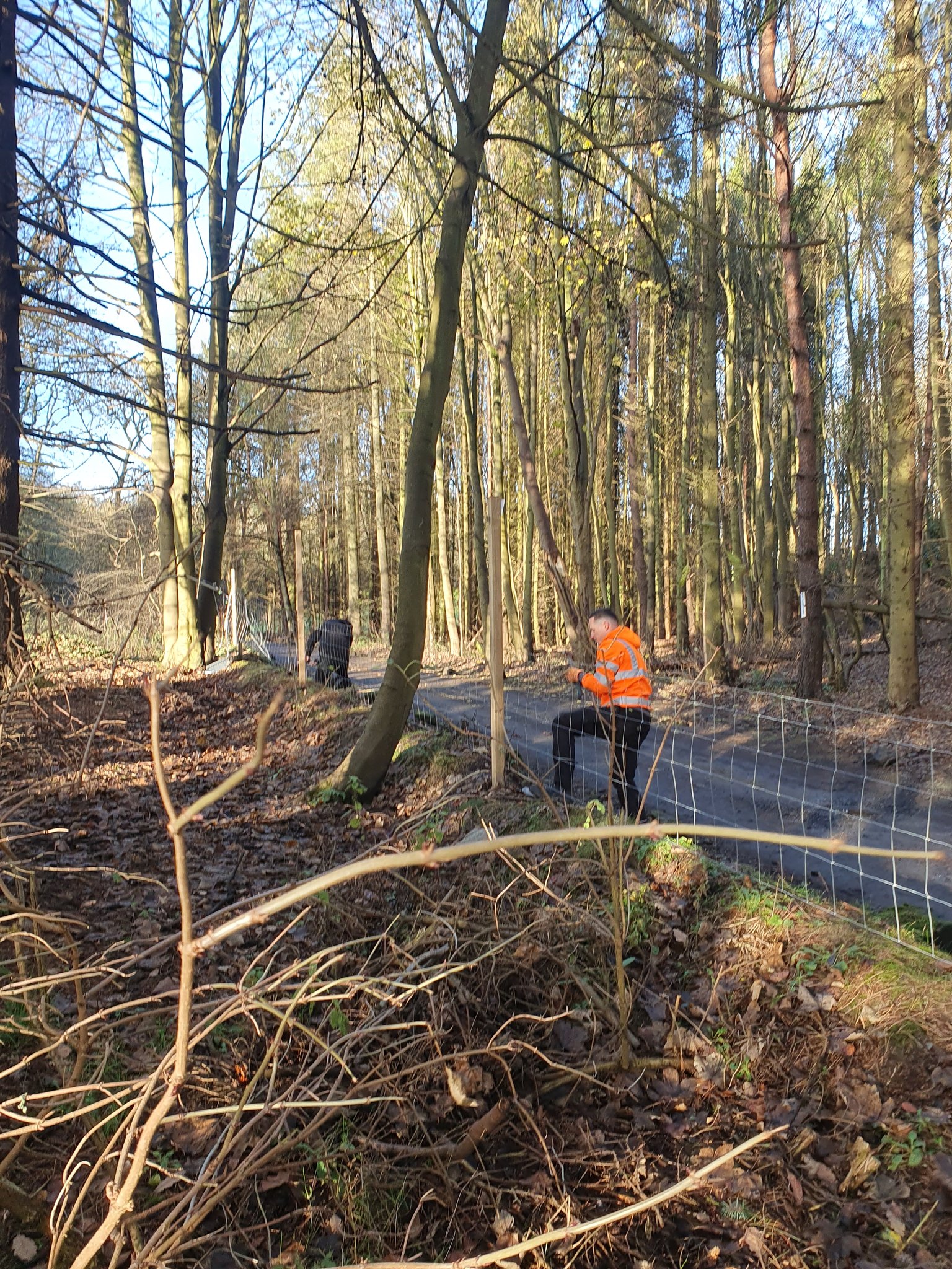 Wire Fence Helps Scout Adventures Fordell Firs with Discounted ...