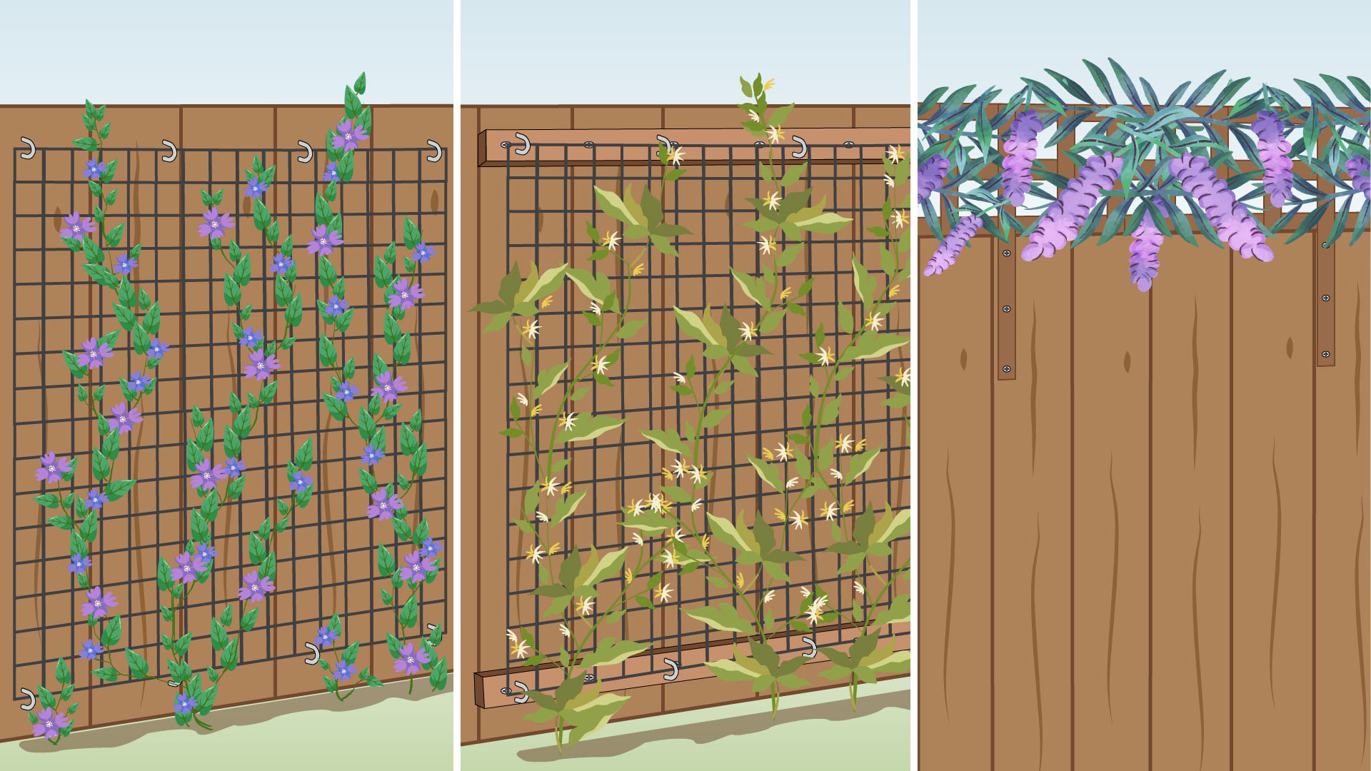 How Do You Attach Trellis to a Fence (MULTIPLE METHODS)