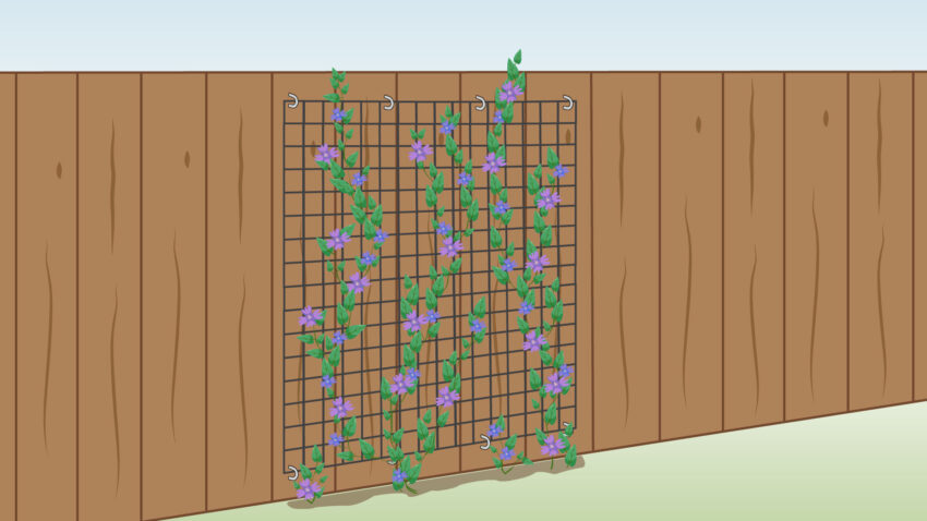 How Do You Attach Trellis to a Fence (MULTIPLE METHODS)