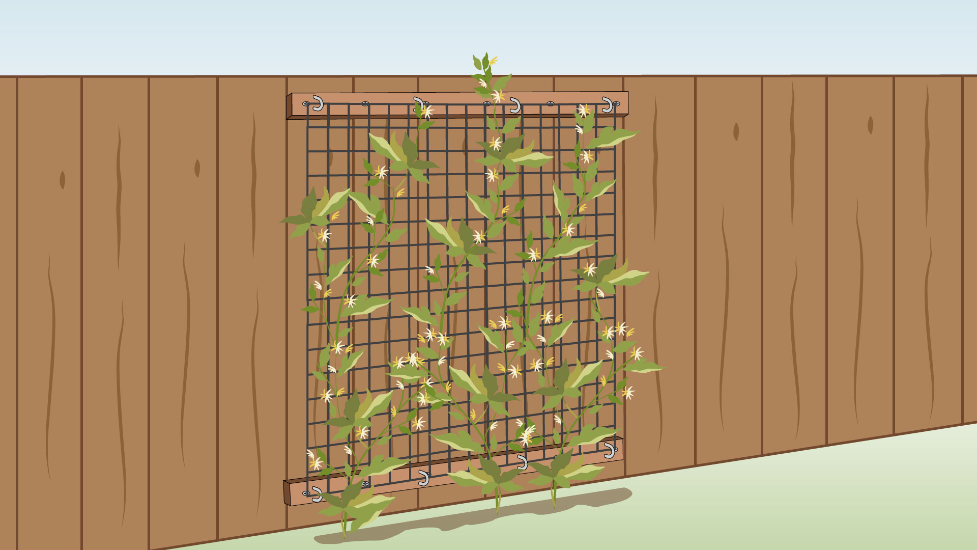 How Do You Attach Trellis to a Fence (MULTIPLE METHODS)