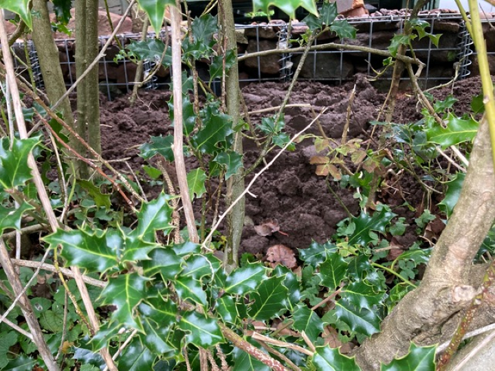 Case Study: Gabion Retaining Wall (by Robert Marsden) | Wire Fence
